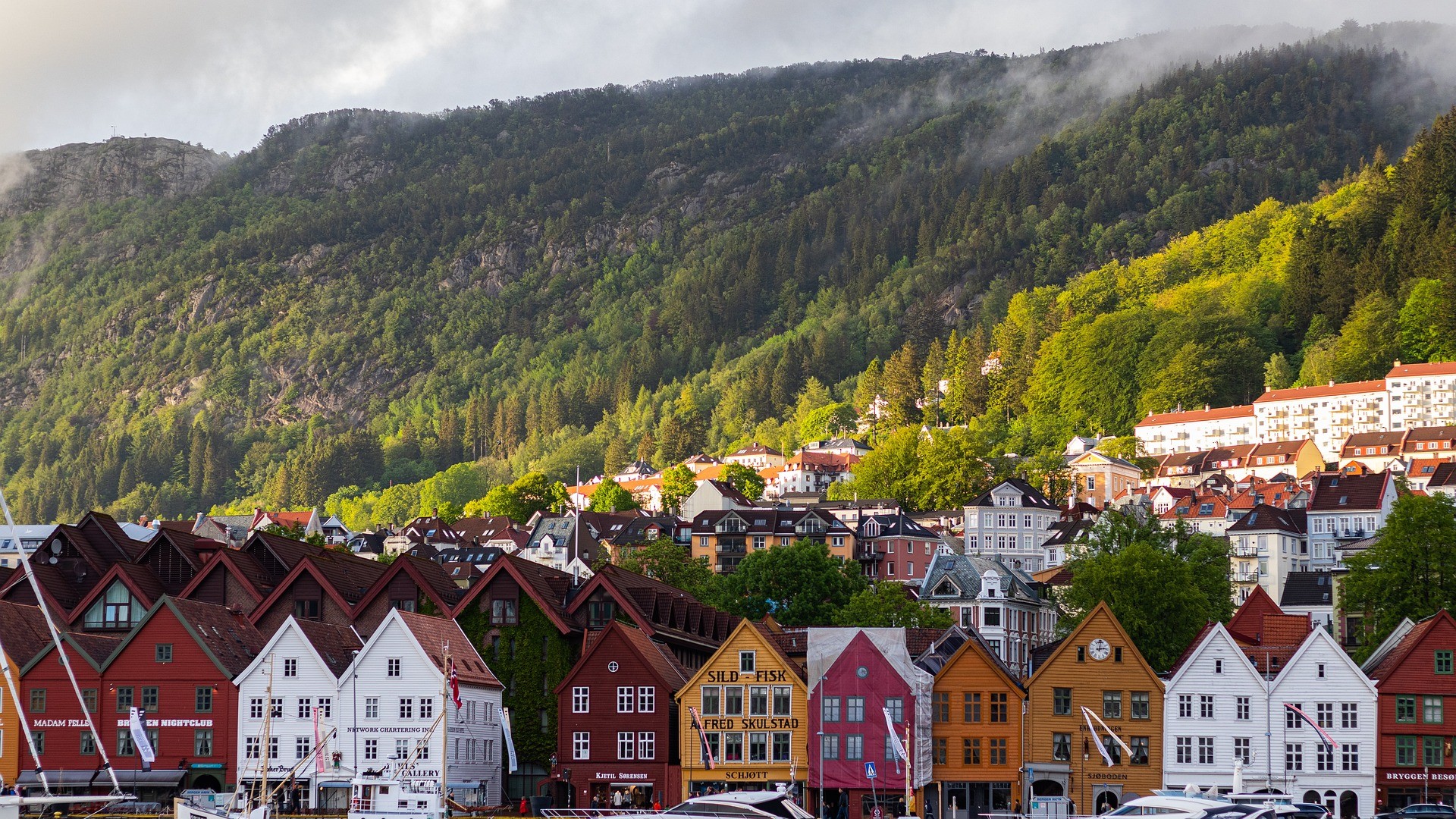 Starting a Business in Norway • Expert Money